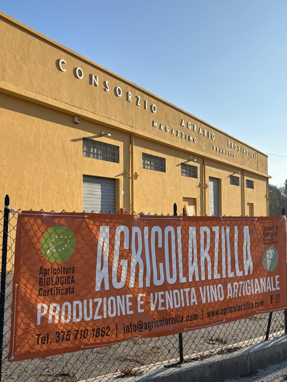 Agricola Arzilla - Shayle Lambie-Shaw - Raisin