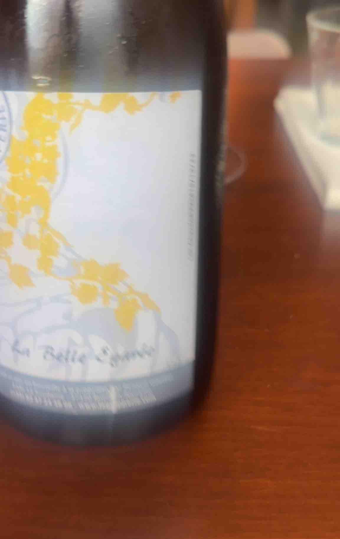 La Belle Égarée - Posted natural wine by herrcarr - Raisin