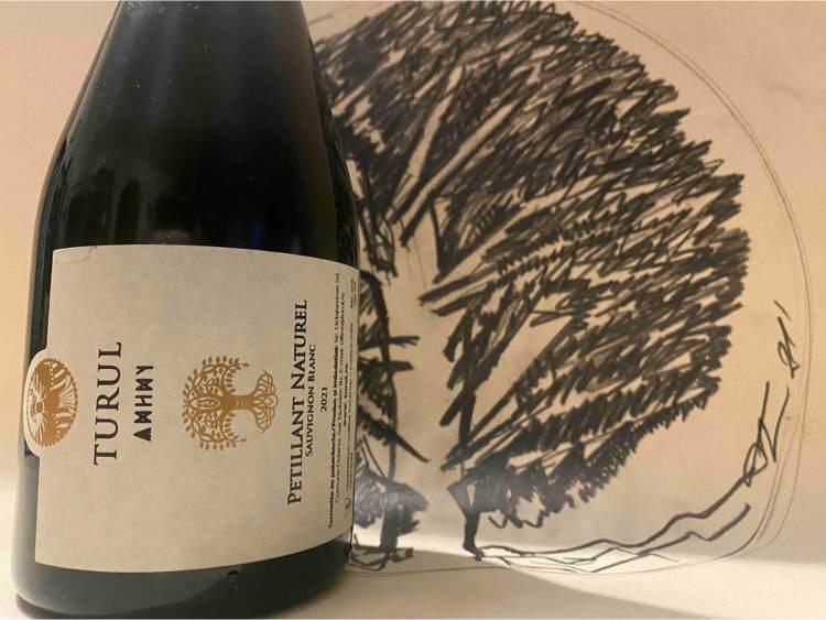 Petillant Naturel - Vin naturel publié par viktoradria - Raisin